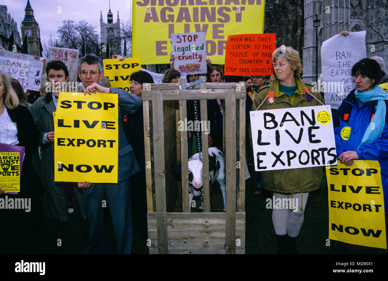 Stop live export now hi-res stock photography and images - Alamy