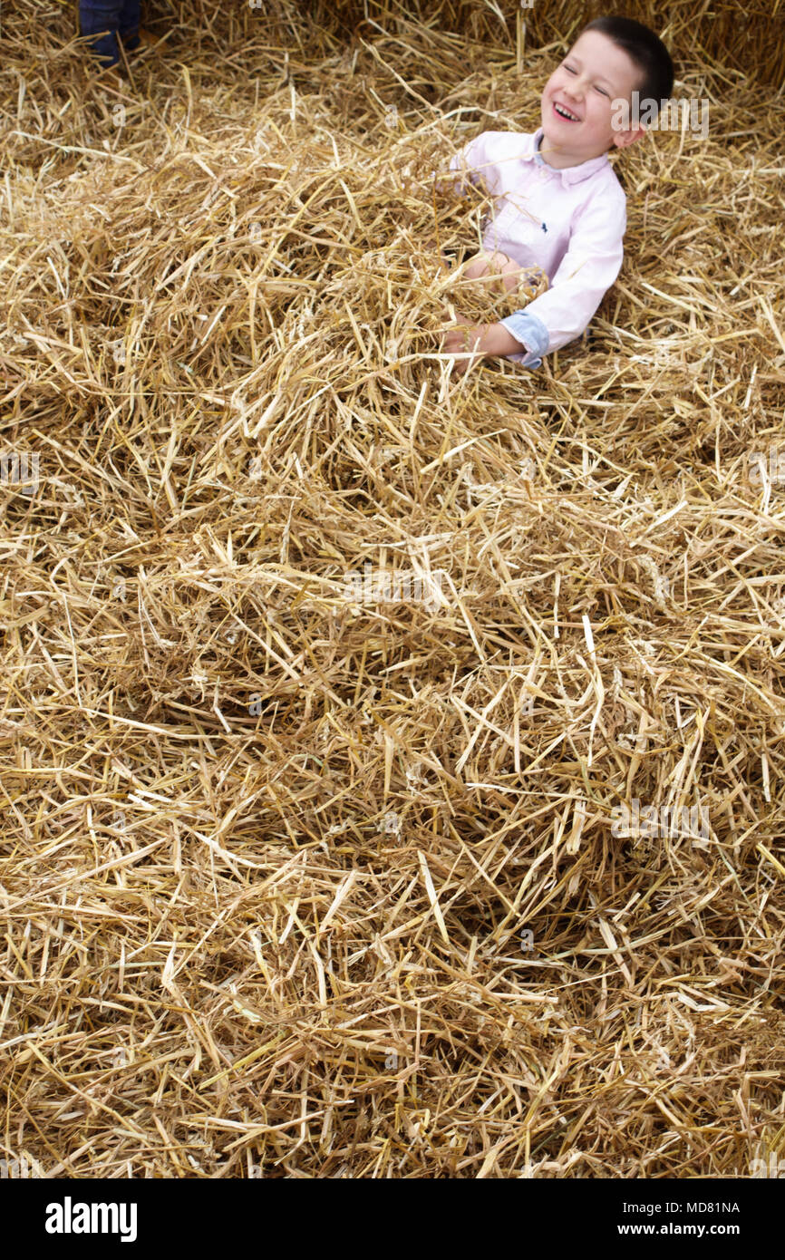 Boy lying and playing on haystack Stock Photo - Alamy