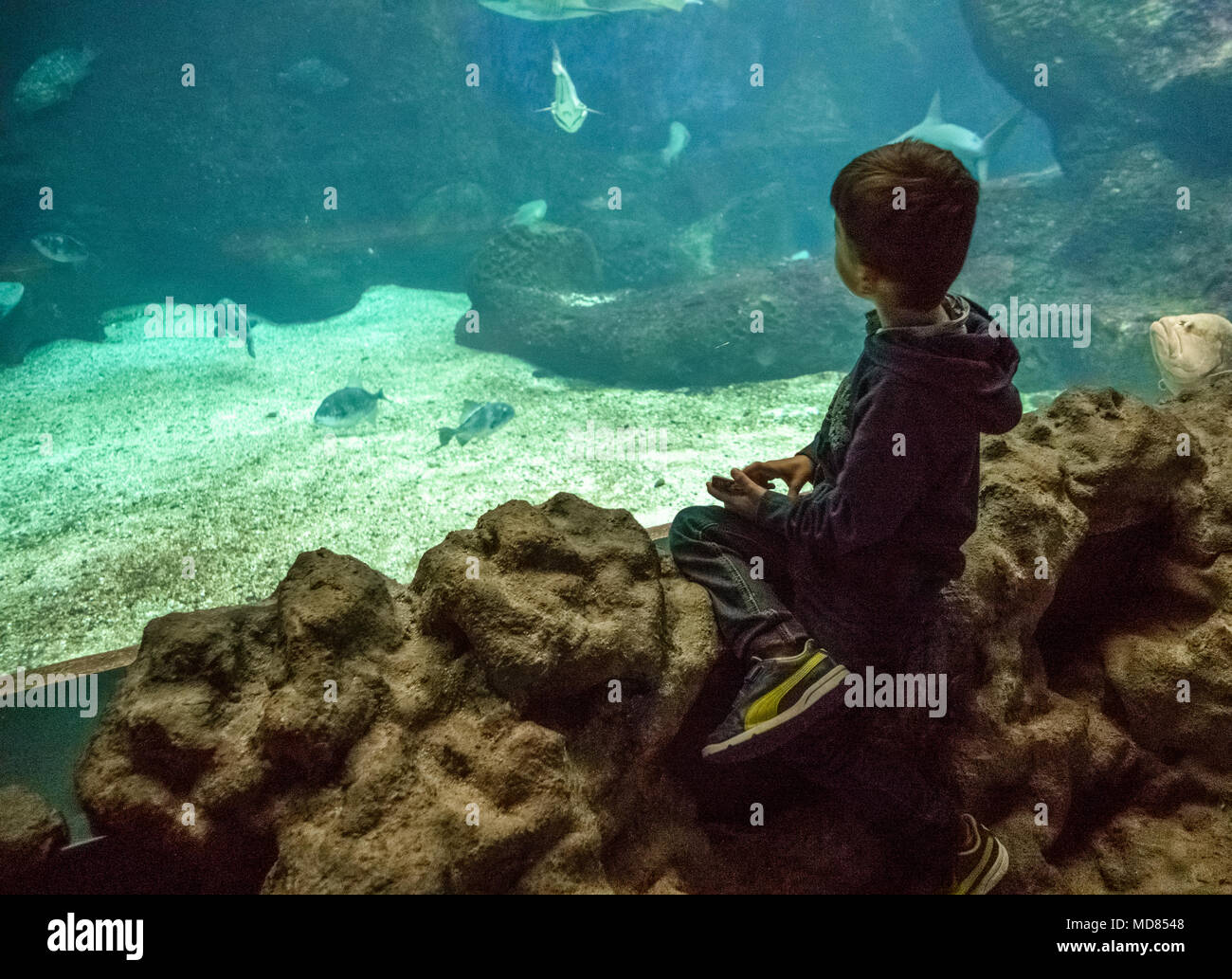 Only child hi-res stock photography and images - Alamy