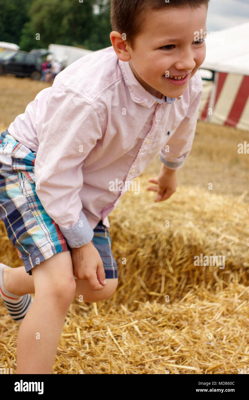 Hay in farm hi-res stock photography and images - Alamy