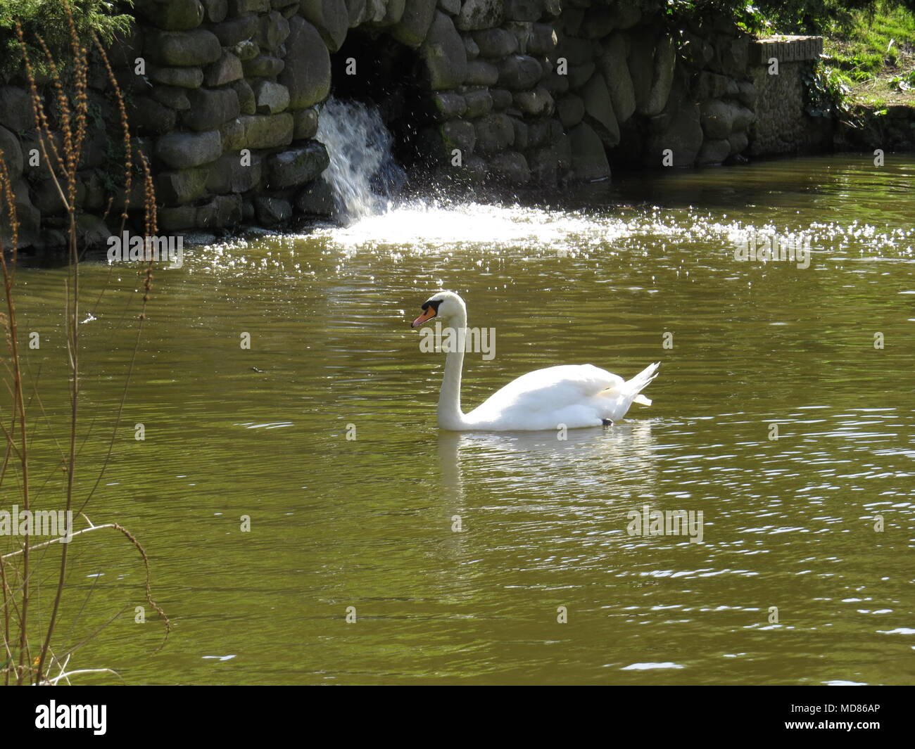 Stone swan hi-res stock photography and images - Alamy