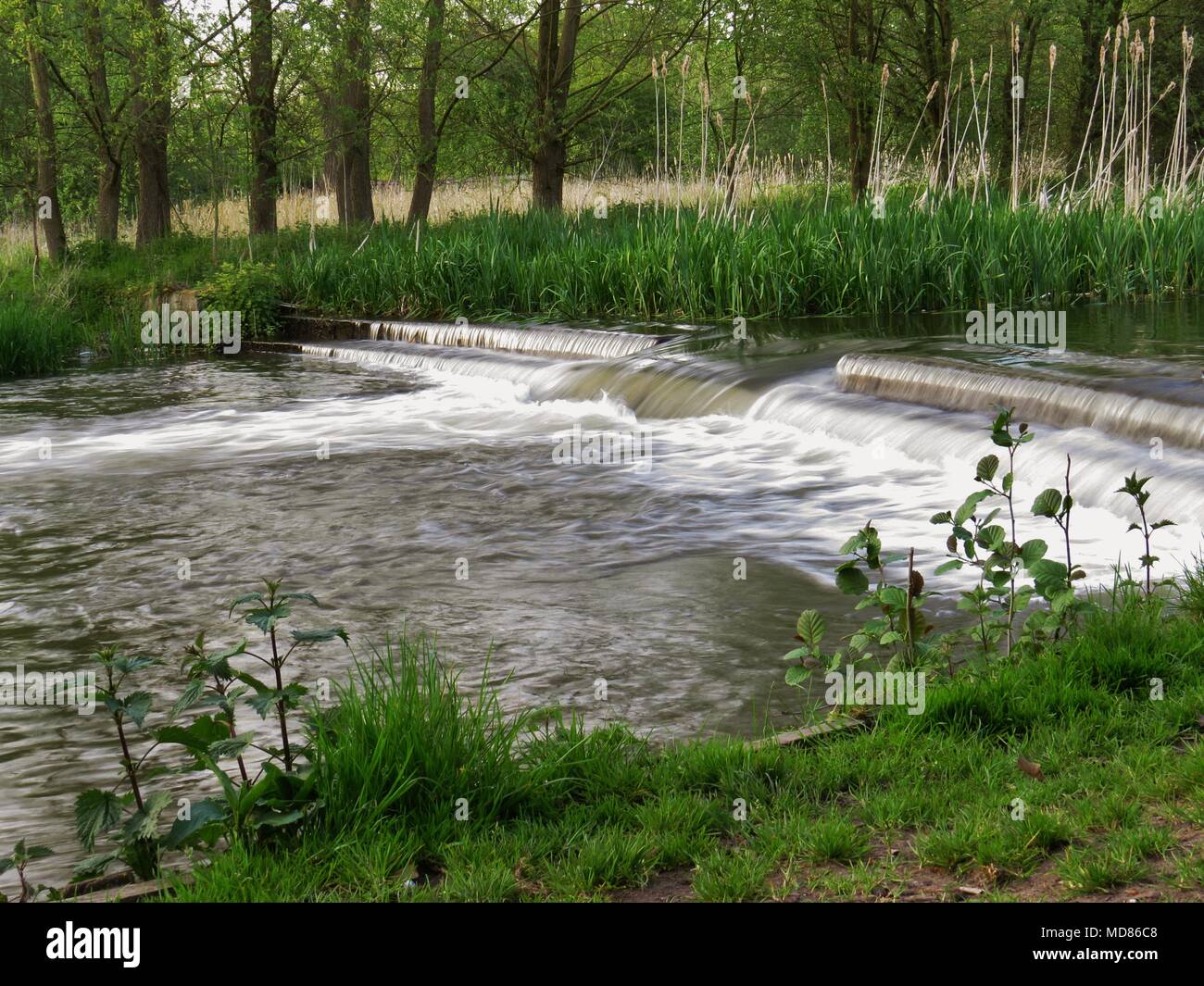 Cassiobury Park River Stock Photo - Alamy