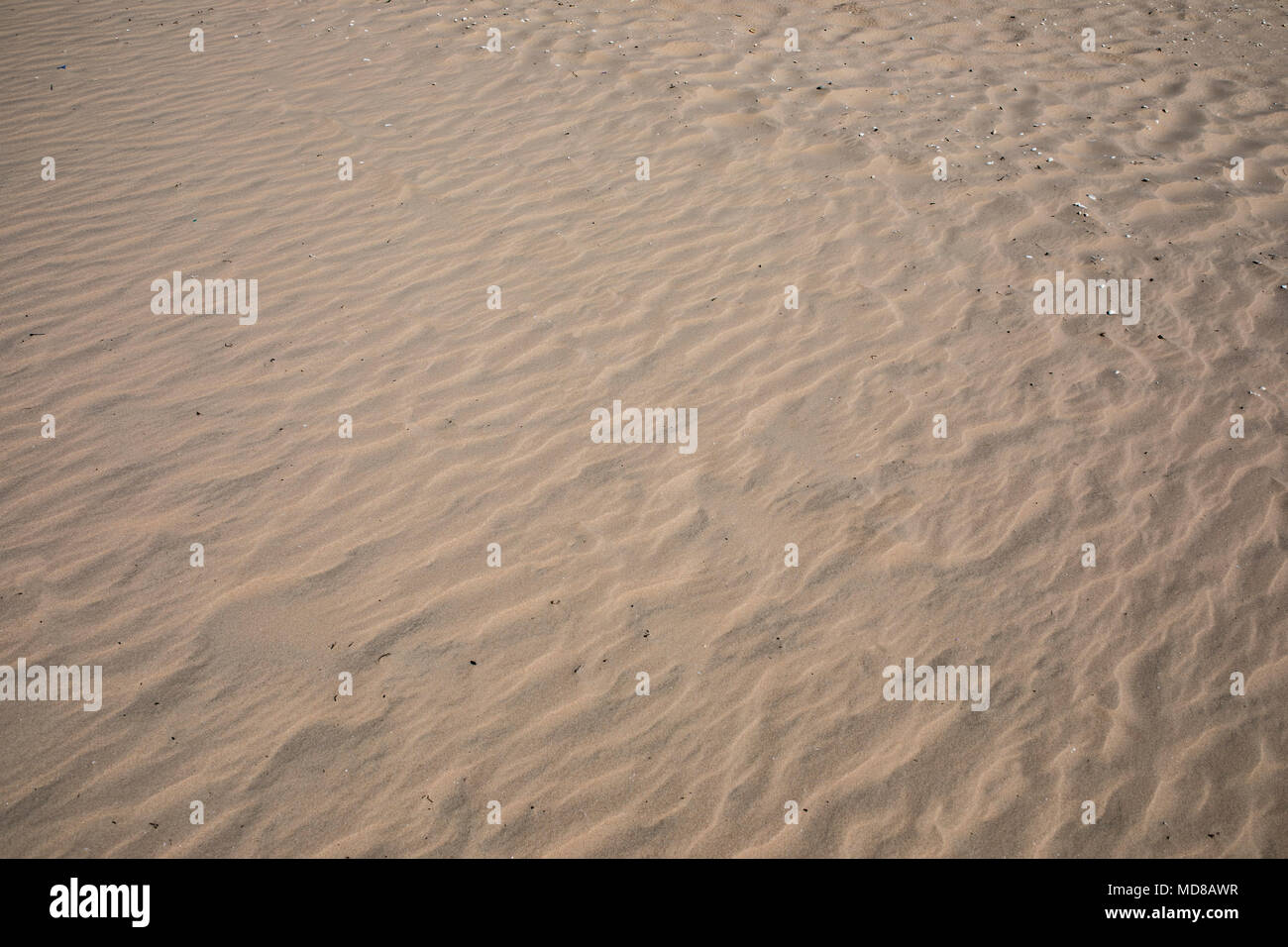 texture of natural sand beach use as background Stock Photo - Alamy