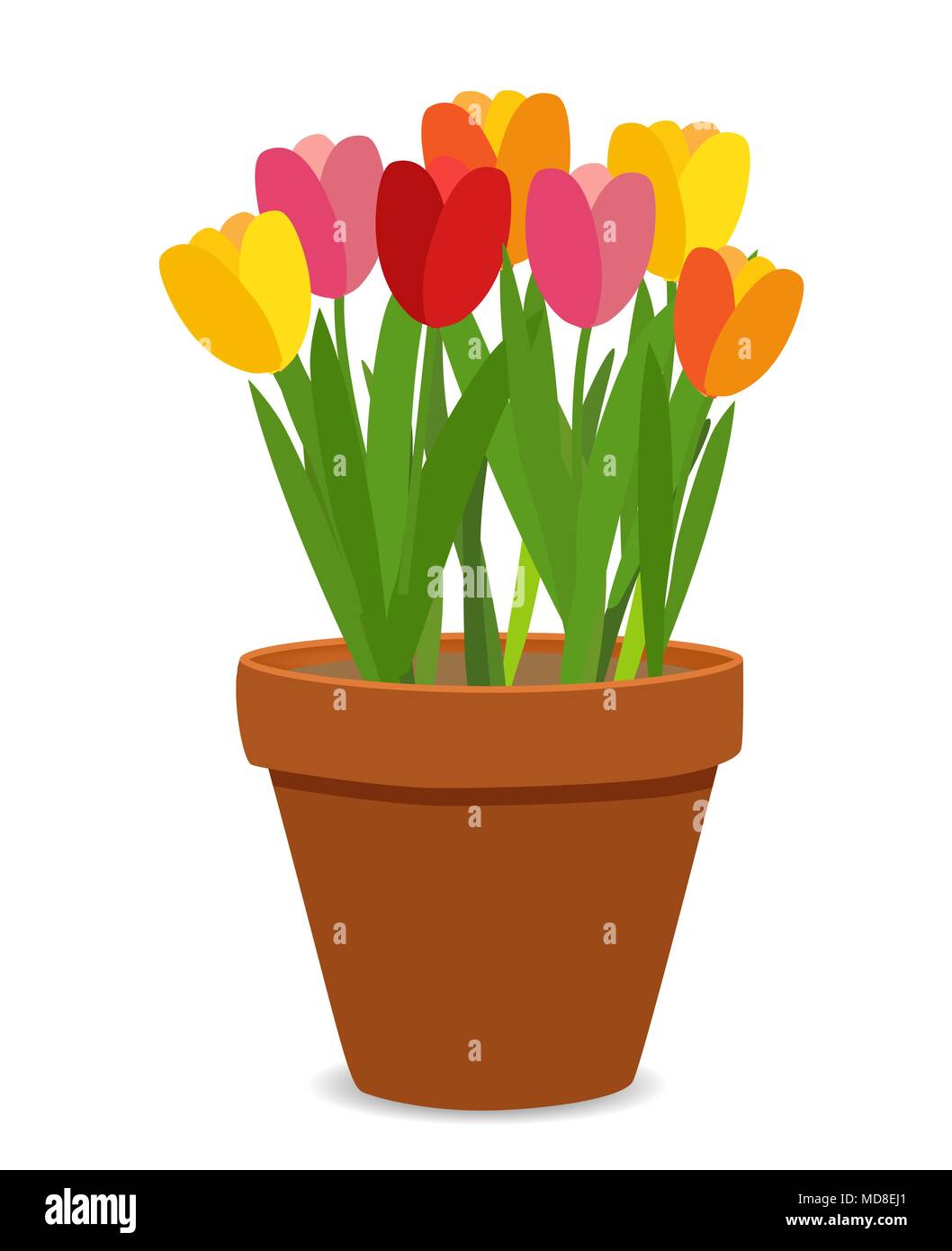 Spring Tulip Flowers in Flower Pot Vector Illustration Stock Vector ...