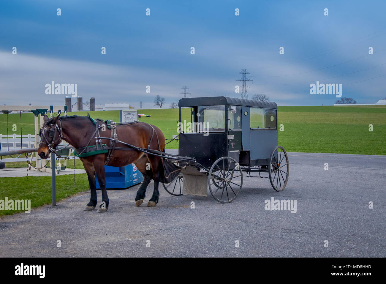 Black buggy hi-res stock photography and images - Alamy