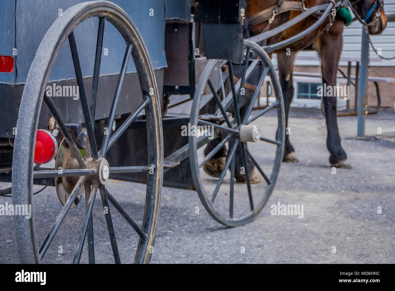 Close up of back view of wheel of Amish buggy with a legs horse parked ...