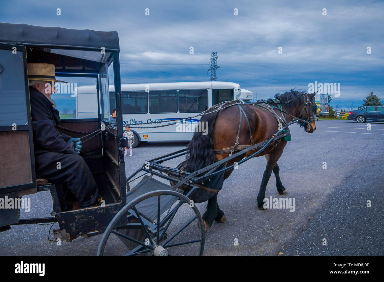 Amish driving buggy hi-res stock photography and images - Alamy