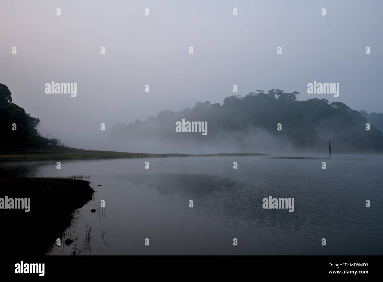 Beautiful view of boating in thekkady lake and periyar tiger reserve ...