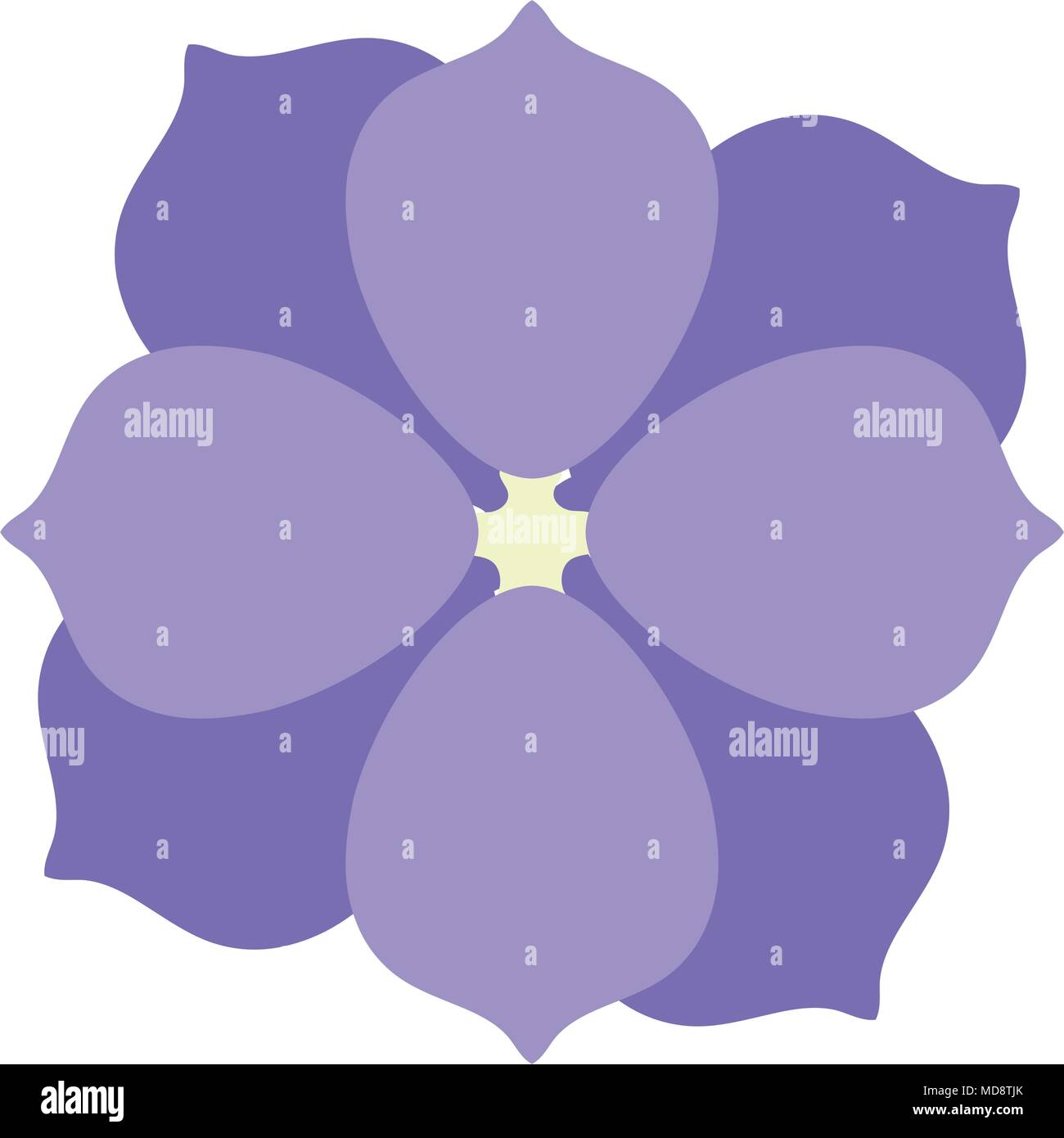 purple flower icon over white background, vector illustration Stock ...