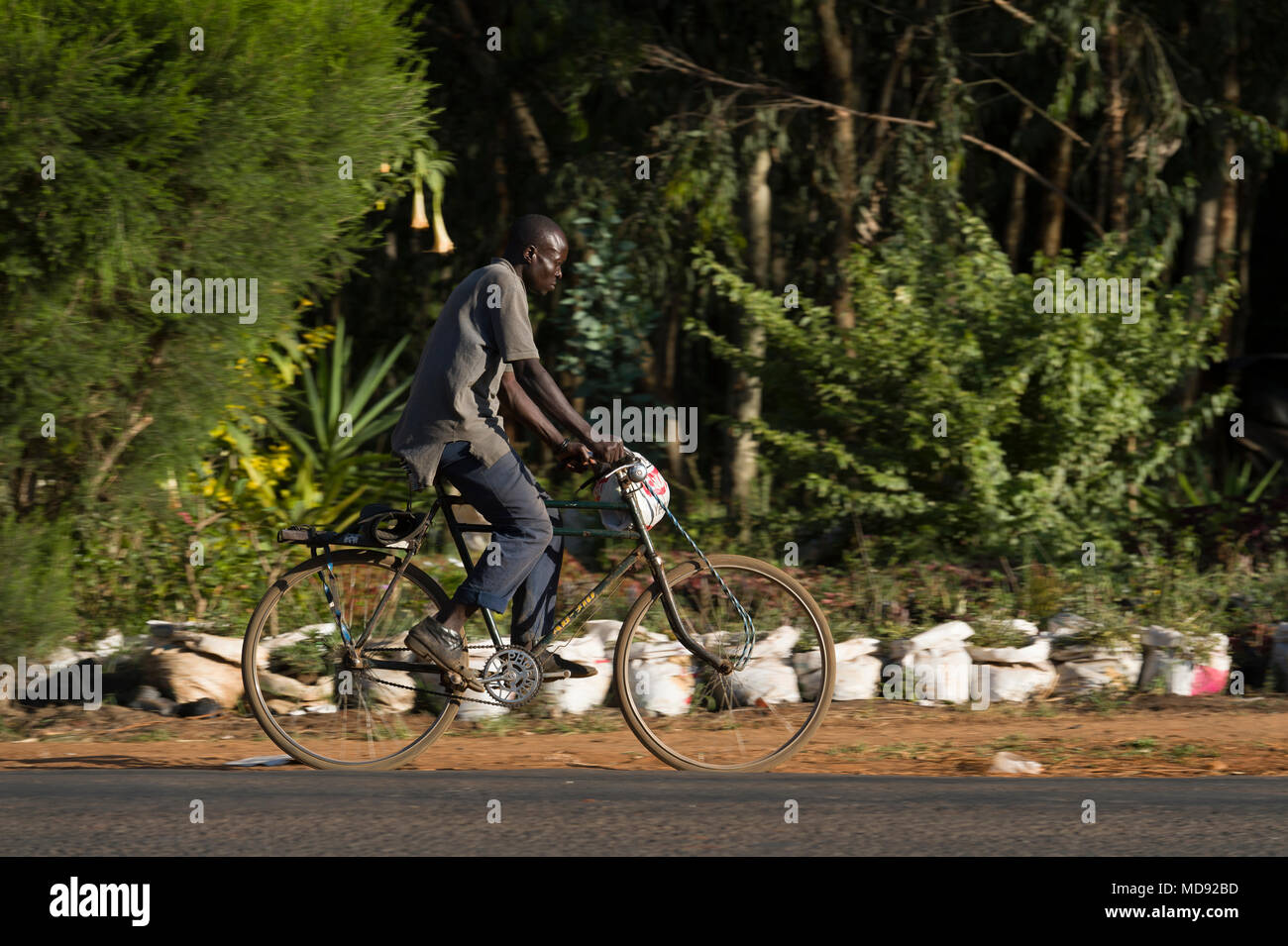 A cyclist rides a traditional roadster-style bicycle, commonly called a ...