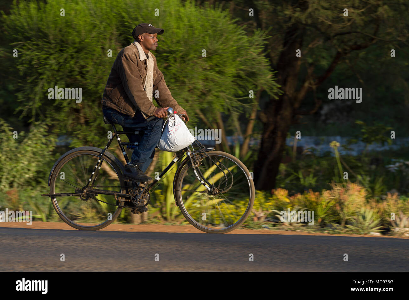 A cyclist rides a traditional roadster-style bicycle, commonly called a ...
