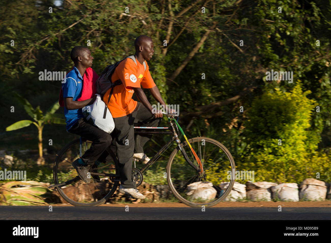 A cyclist rides a traditional roadster-style bicycle, commonly called a "Black Mamba" in East ...