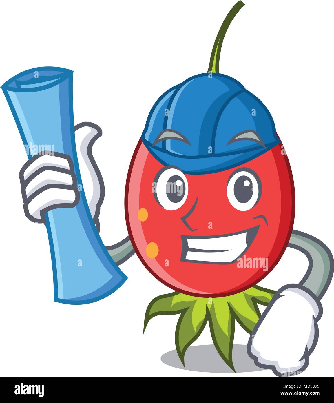 Architect rosehip character cartoon style vector illustration Stock ...