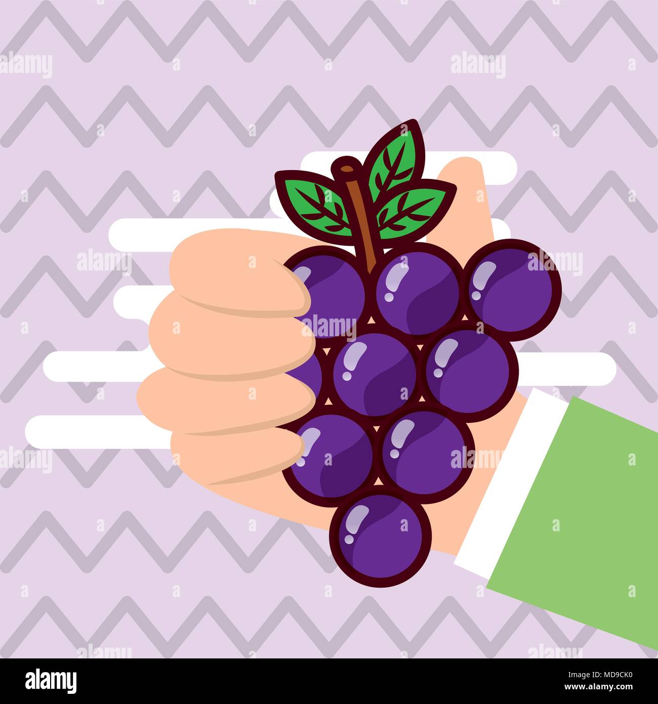 hand holding grapes fresh colored background Stock Vector Image & Art ...