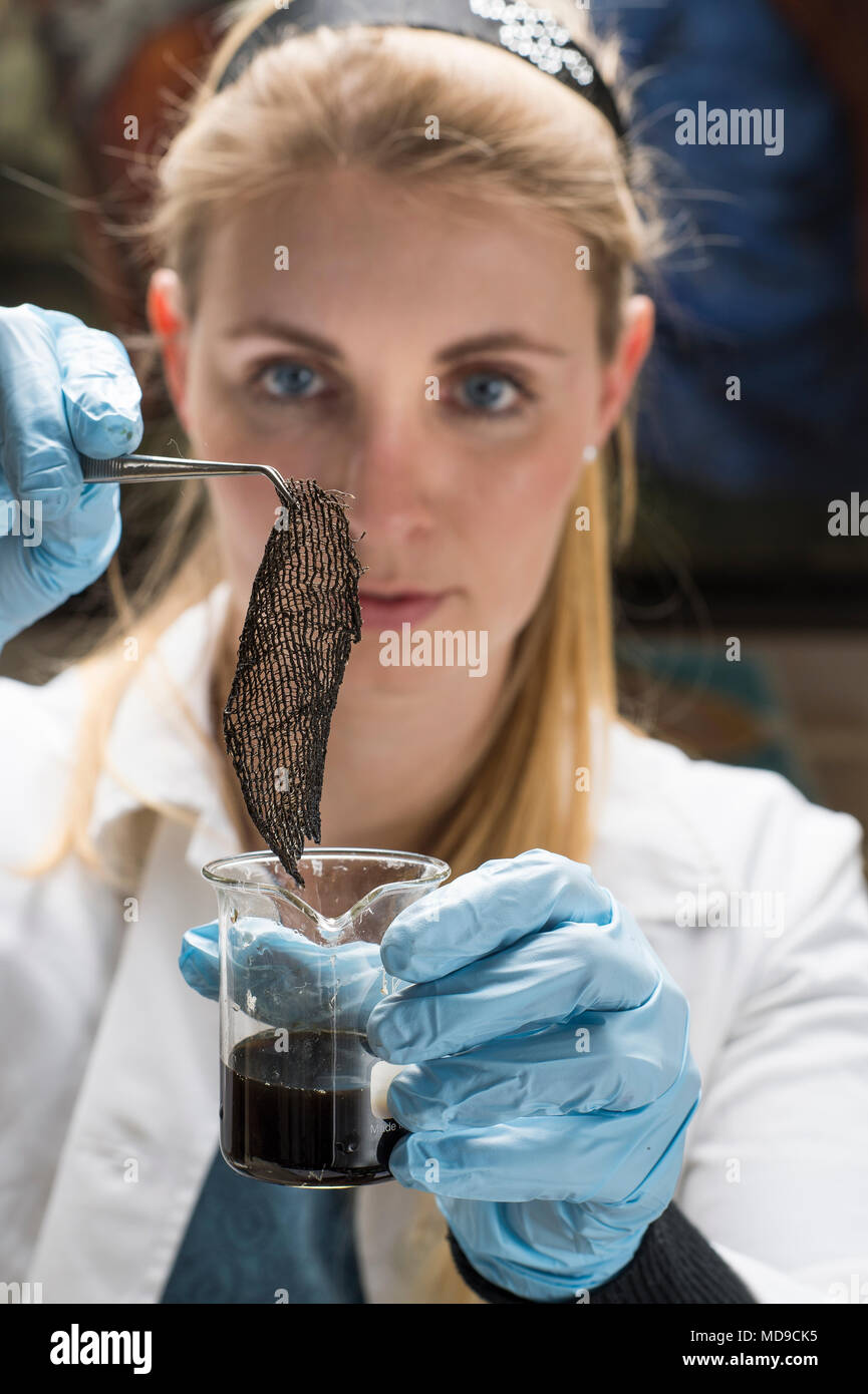 Restoration studio, restorer, woman holds a piece of linen with ...