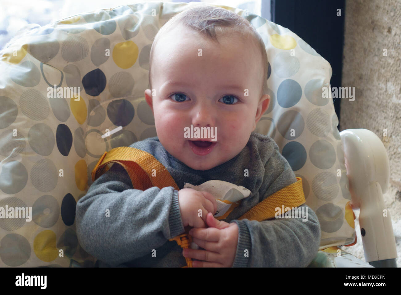 Portrait of adorable baby boy sitting on chair Stock Photo - Alamy
