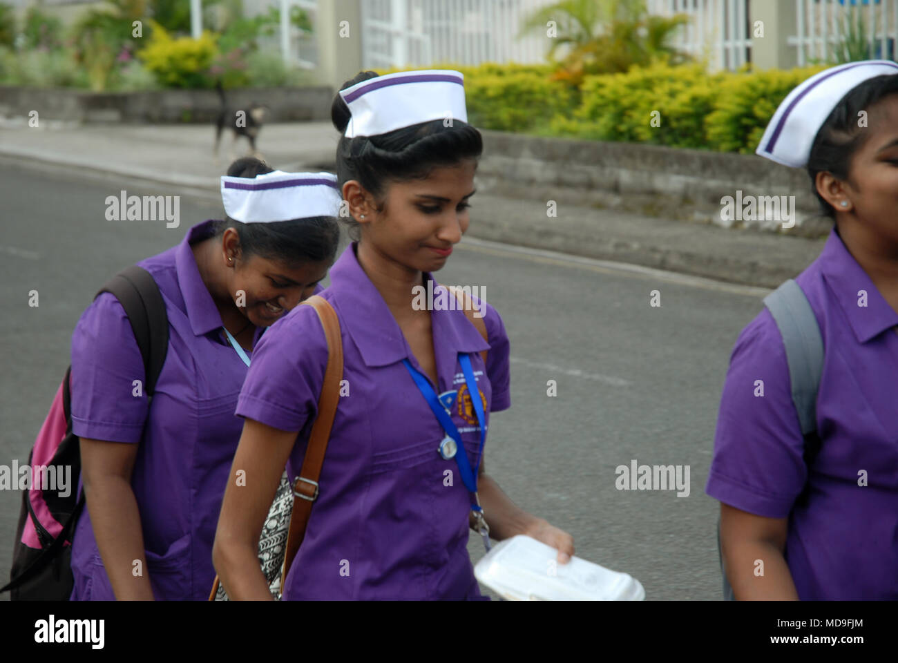 South pacific fiji fijian work hi-res stock photography and images - Alamy