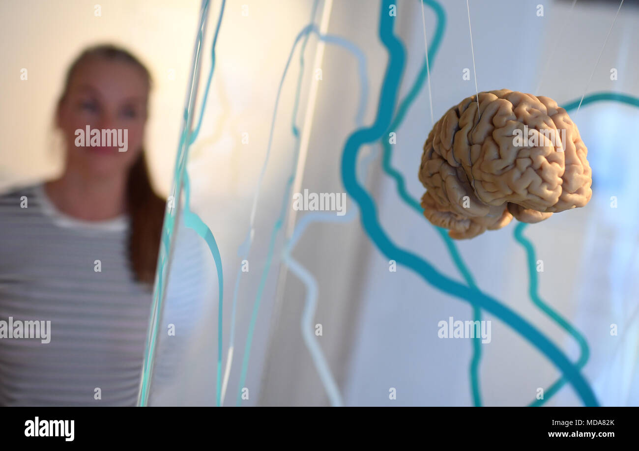 Woman brain dead hospital hi-res stock photography and images - Alamy