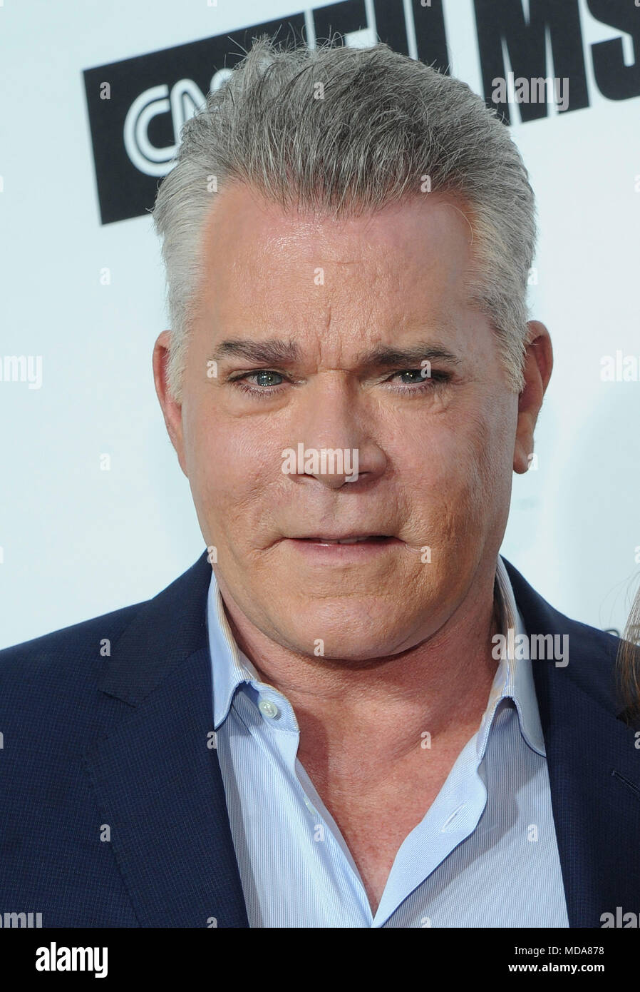 New York, NY, USA. 18th Apr, 2018. Ray Liotta attends the 2018 Tribeca ...