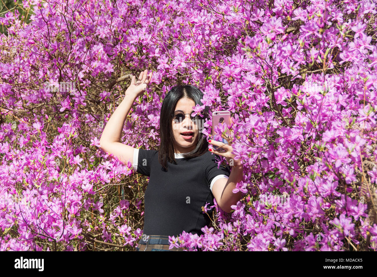 Uk on april 18 hi-res stock photography and images - Alamy