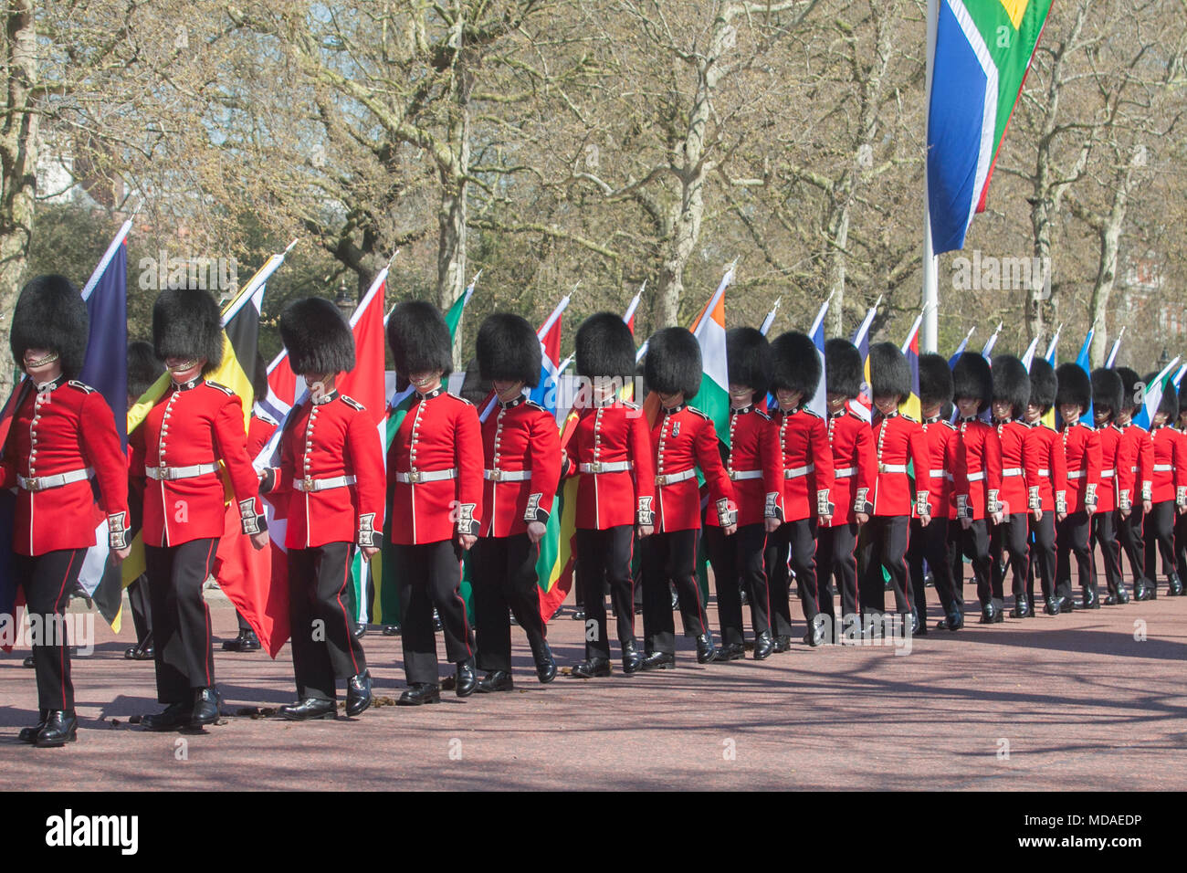 Number 7 company coldstream guards hi-res stock photography and images ...