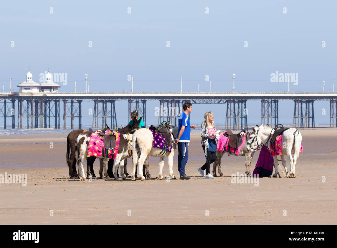 Donkeys donkey rides blackpool beach seaside sand resort coast coast hi ...