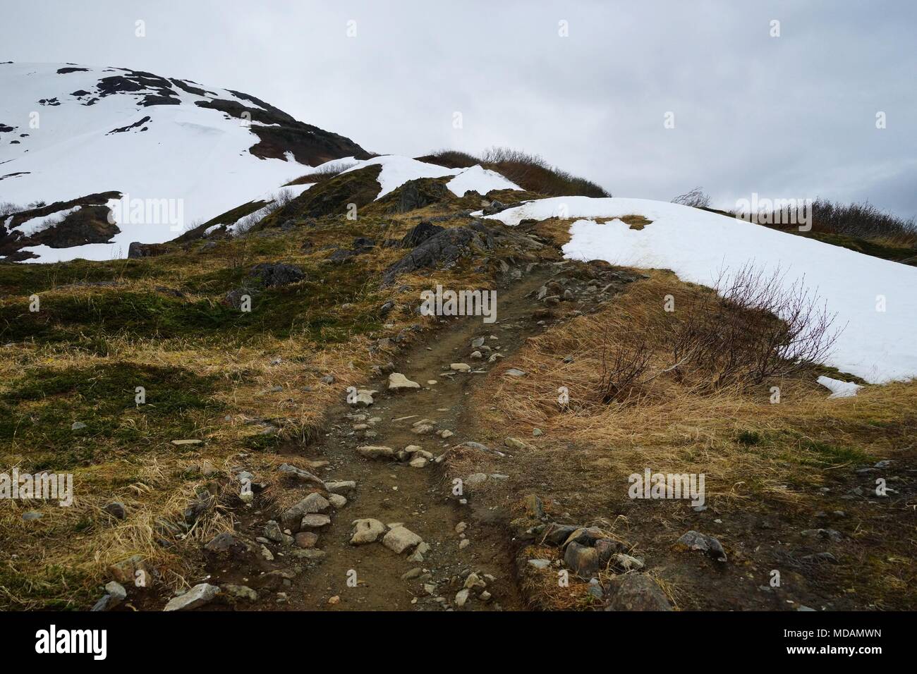 Mount Roberts Trail with snow patches on the side, Juneau, Alaska Stock ...