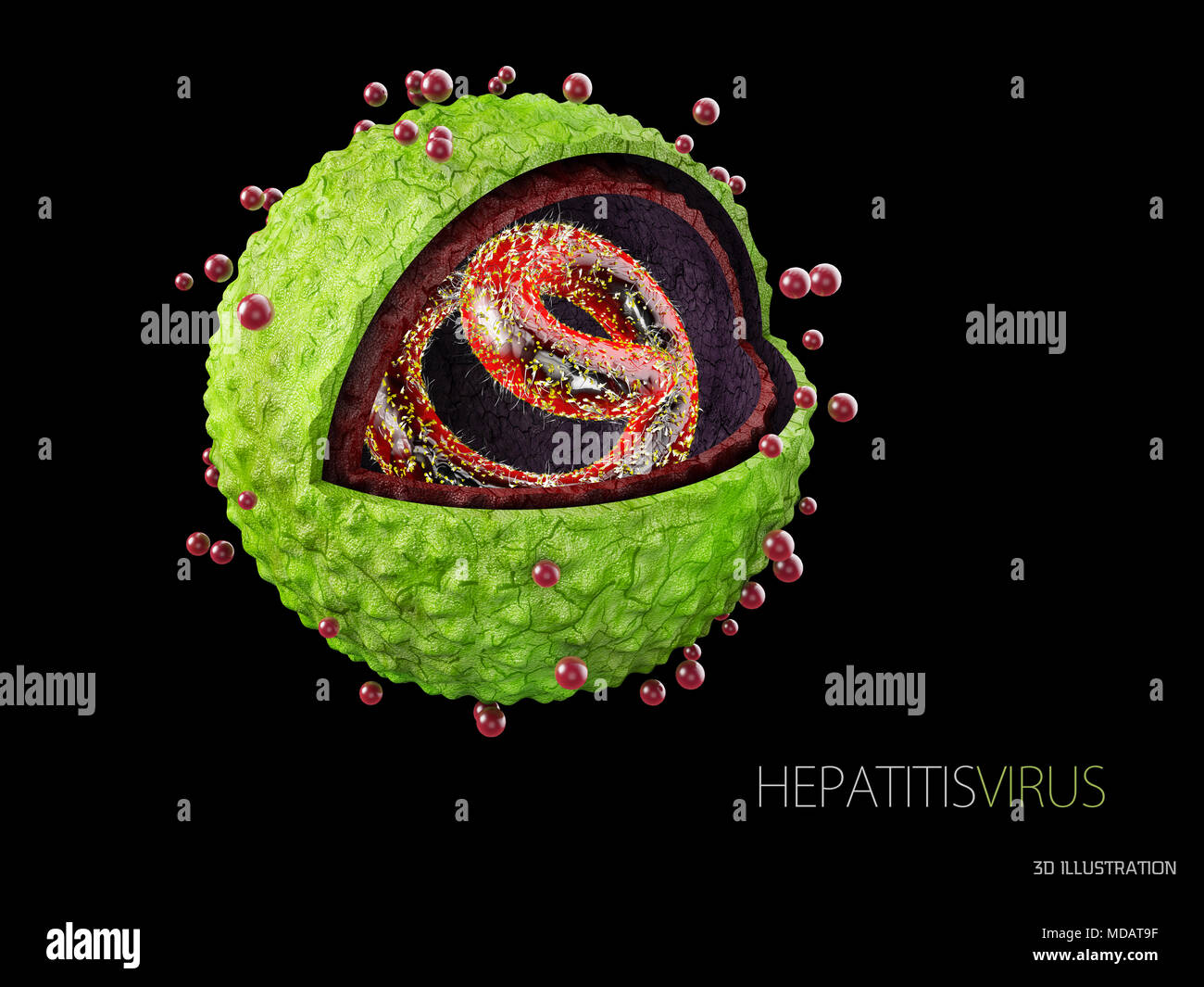 3d illustration of Hepatitis virus. Structure of the hepatitis virus ...