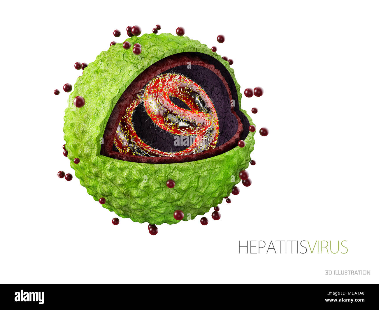 Hepatitis virus. Structure of the hepatitis virus. 3d illustration ...