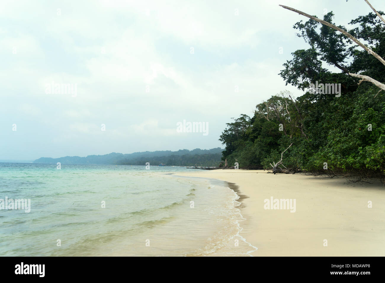 Stunning view of Elephant Beach near Radhanagar Beach on Havelock ...