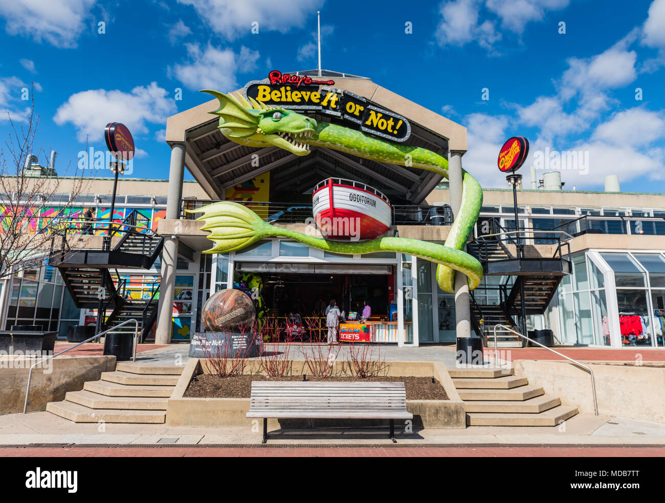 Ripleys Believe It Or Not Host