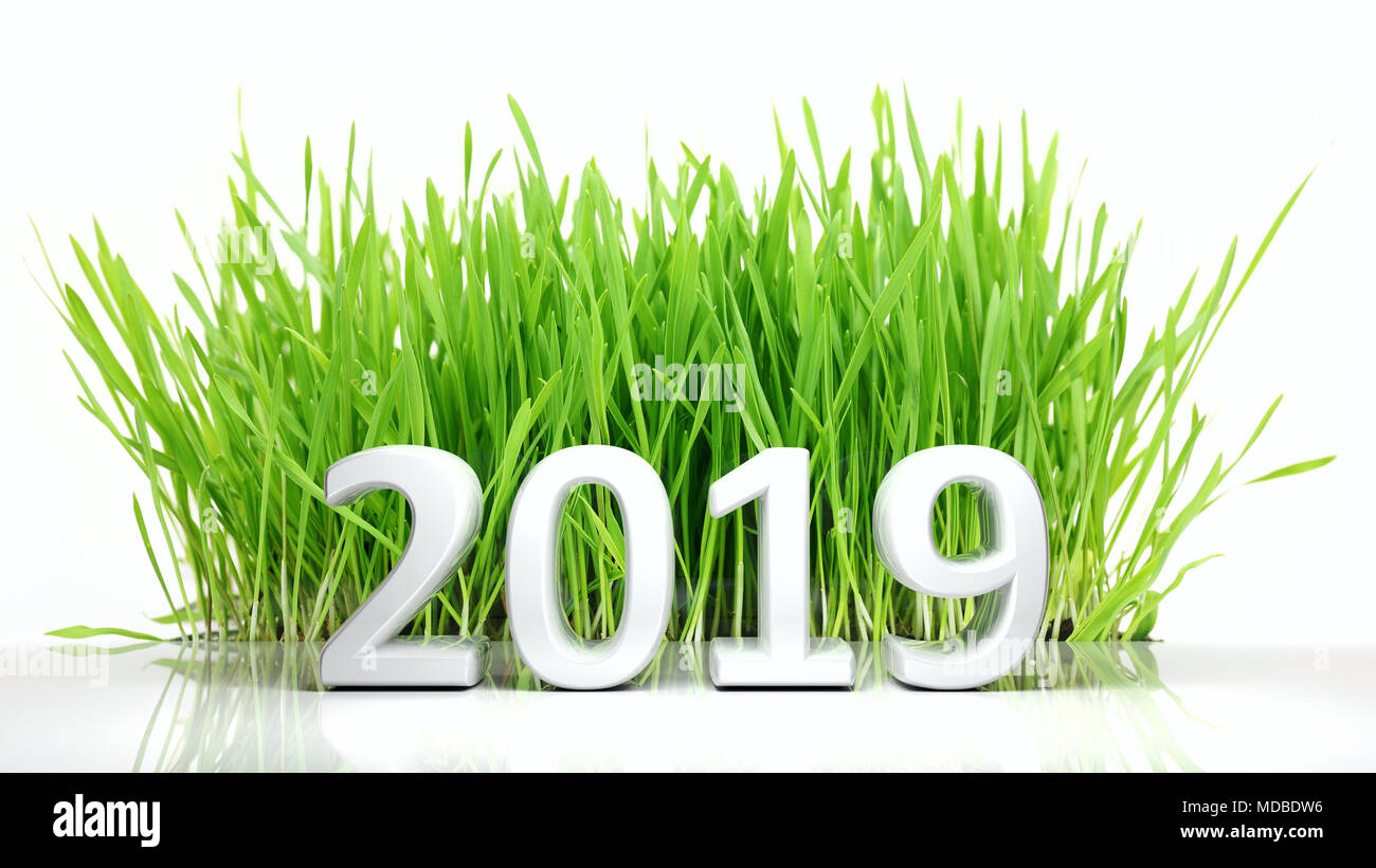New year 2019 Number and green grass isolated on white background. 3d ...