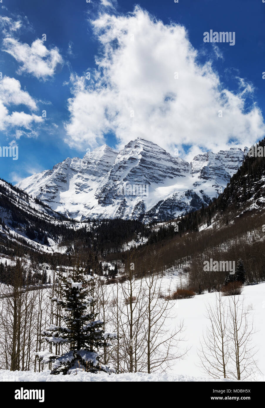 Aspen Maroon Bells Winter High Resolution Stock Photography and Images ...