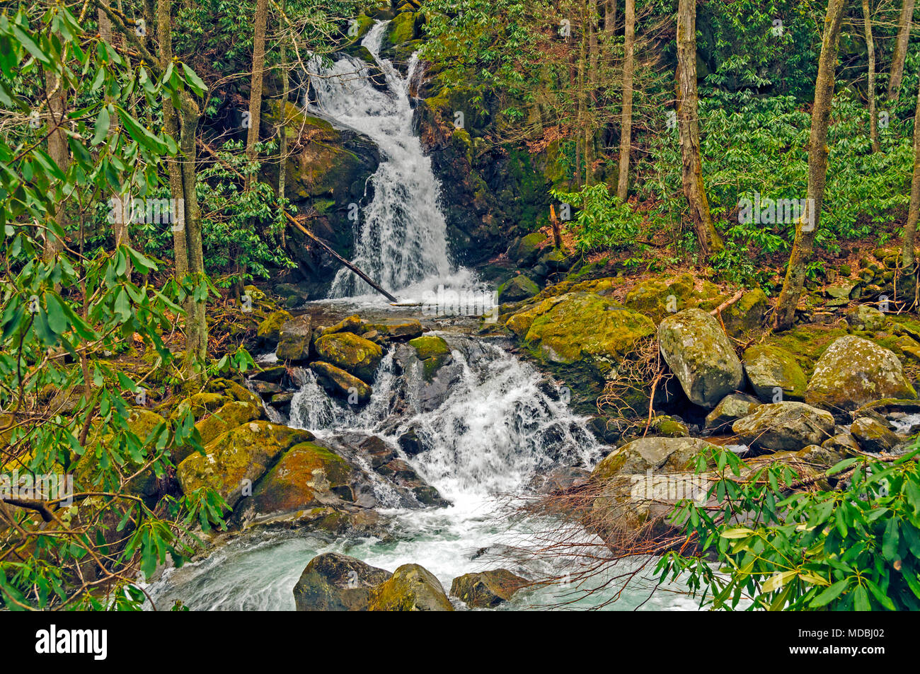 Mouse Creek Falls in the Smoky Mountains Stock Photo - Alamy