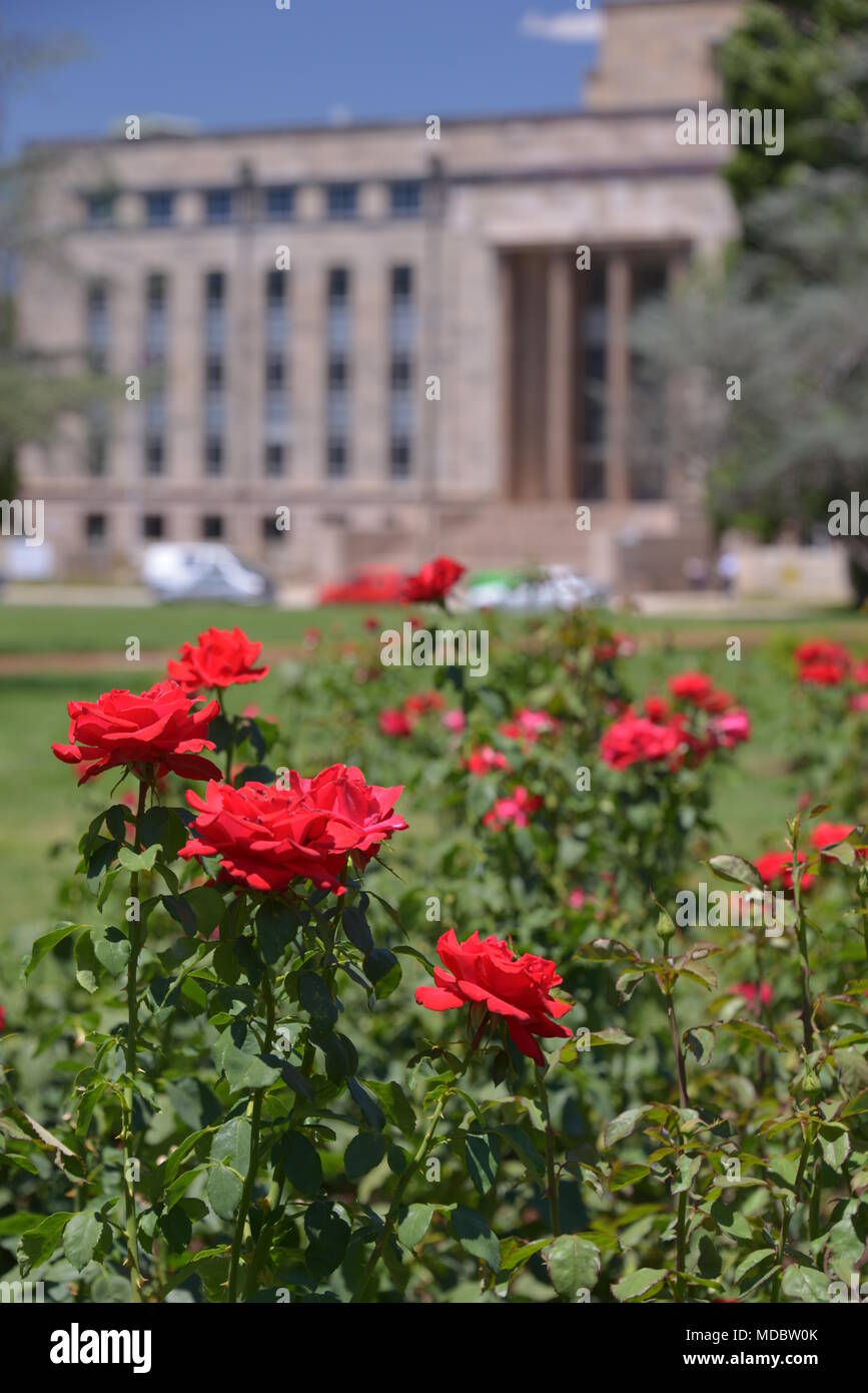 Canberra street view Stock Photo - Alamy
