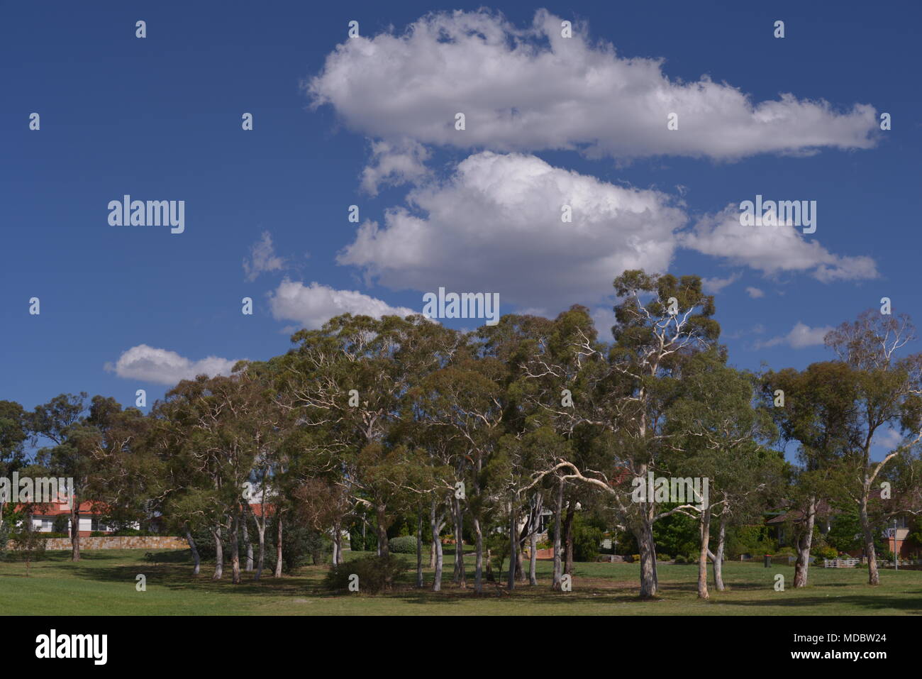 Canberra street view Stock Photo - Alamy