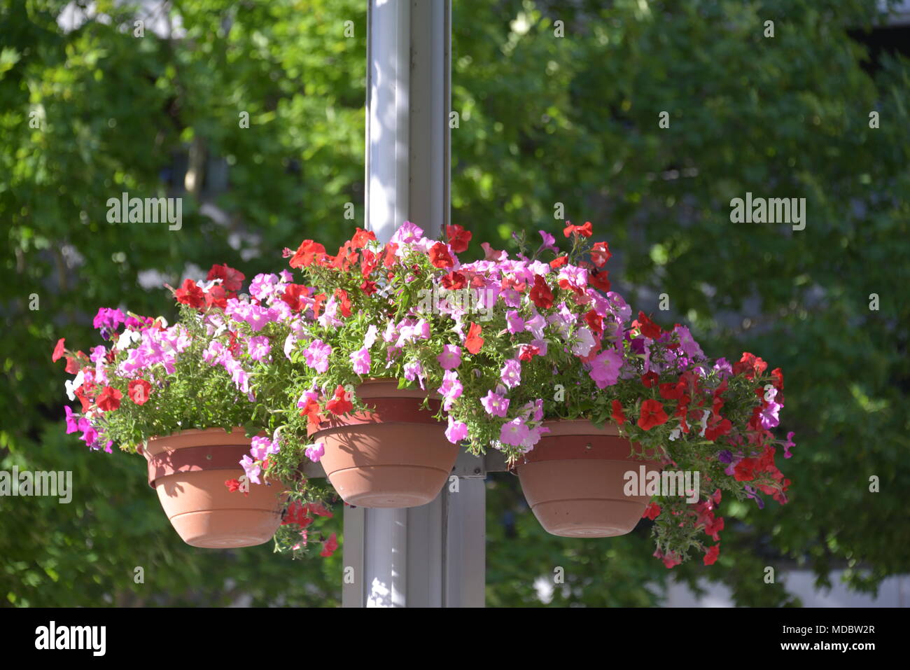 Canberra street view Stock Photo - Alamy