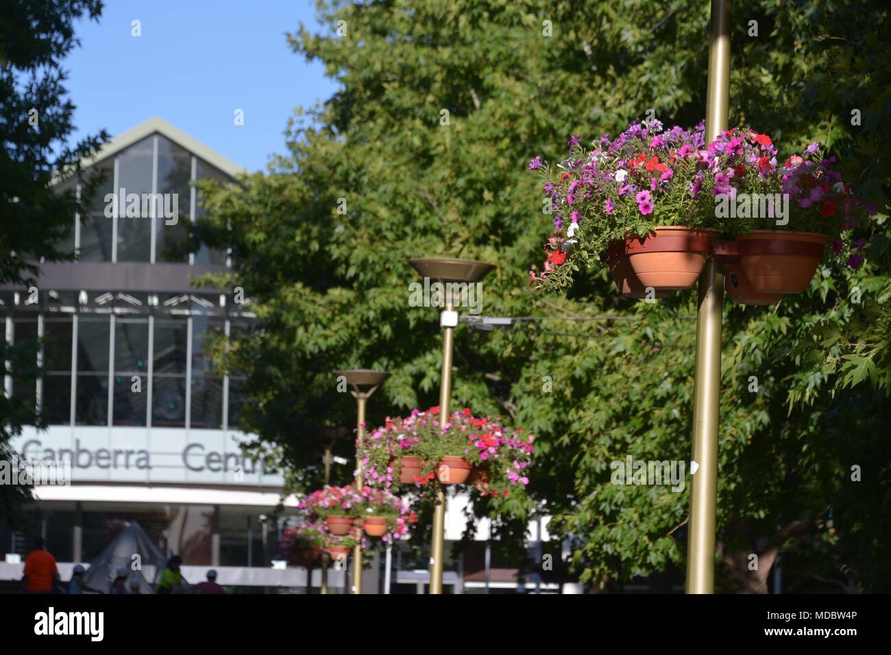 Canberra street view Stock Photo - Alamy