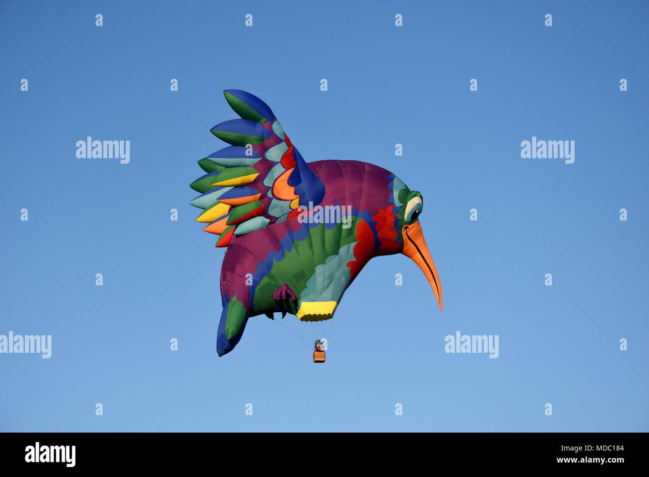 Hummingbird Hot air balloon flying in the air, as part of the Balloon ...