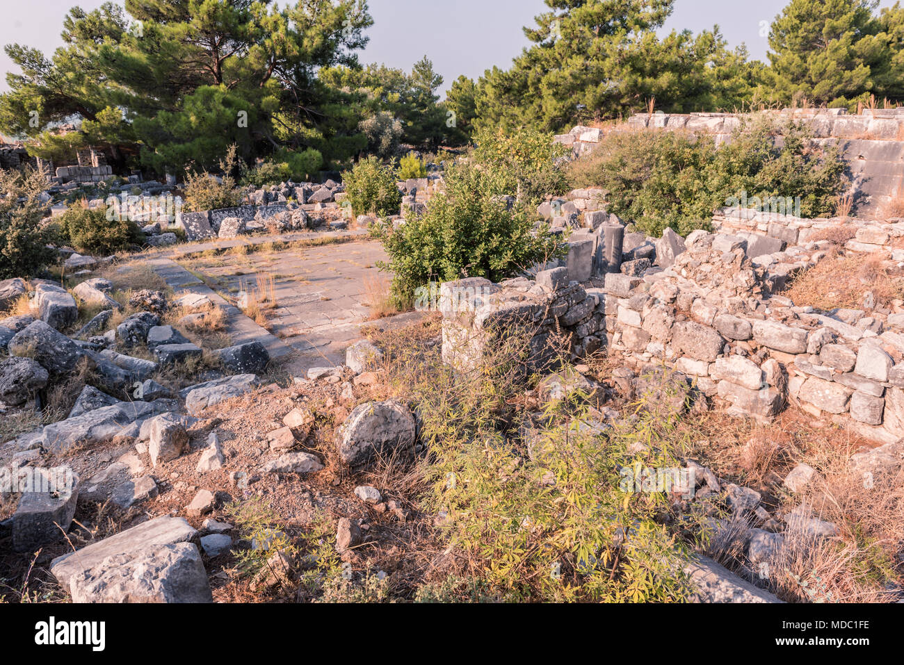 Ruins agora of Ancient Greek City of Priene in Soke,Aydin,Turkey Stock ...
