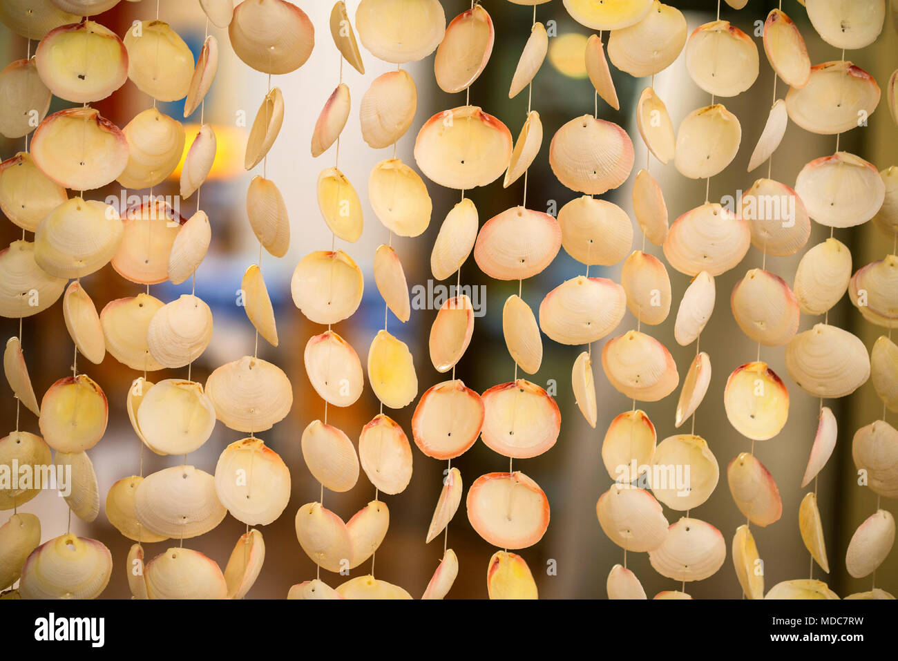 Decorative seashell curtain close Stock Photo - Alamy