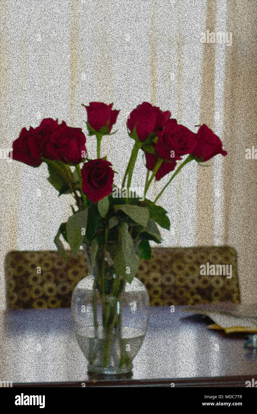 Red Roses in a glass vase in front of window Stock Photo - Alamy