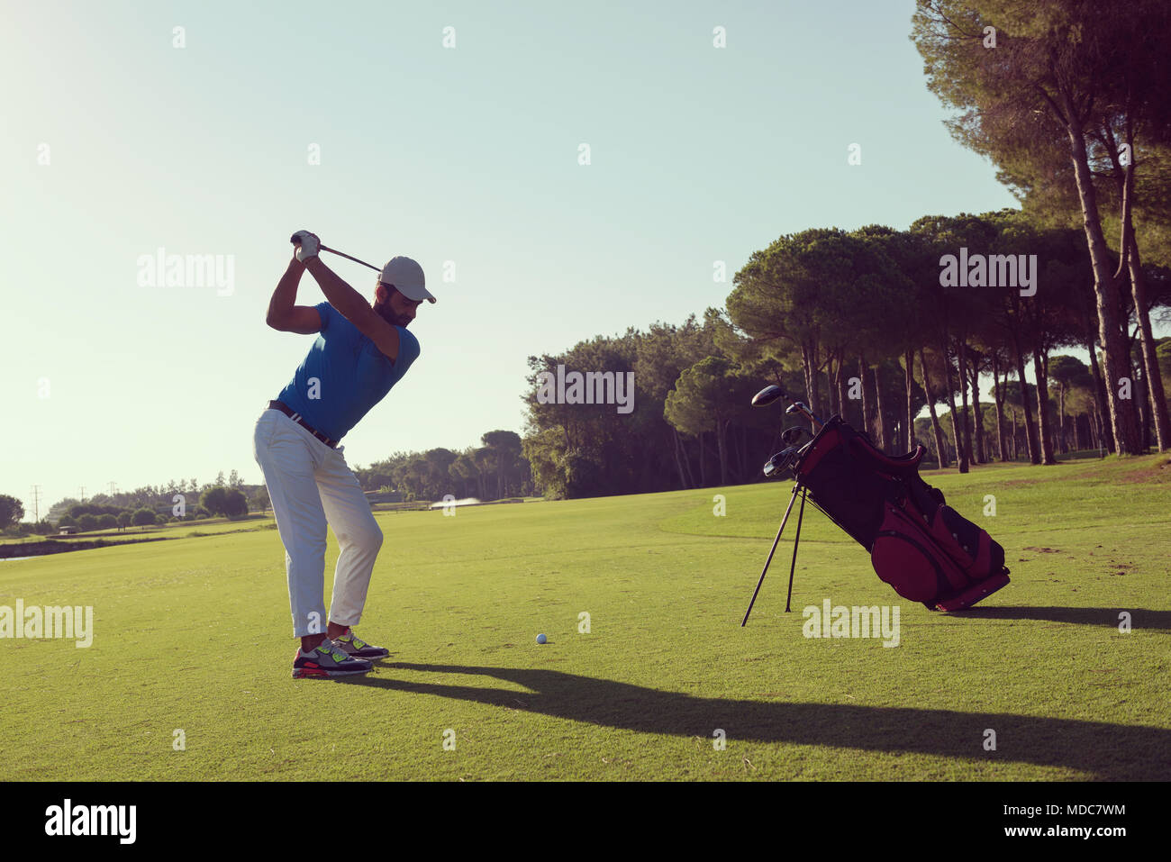 golf player hitting shot with club on course at beautiful morning with ...