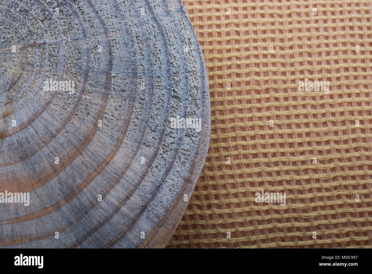 Piece of cut wood log texture as background Stock Photo - Alamy