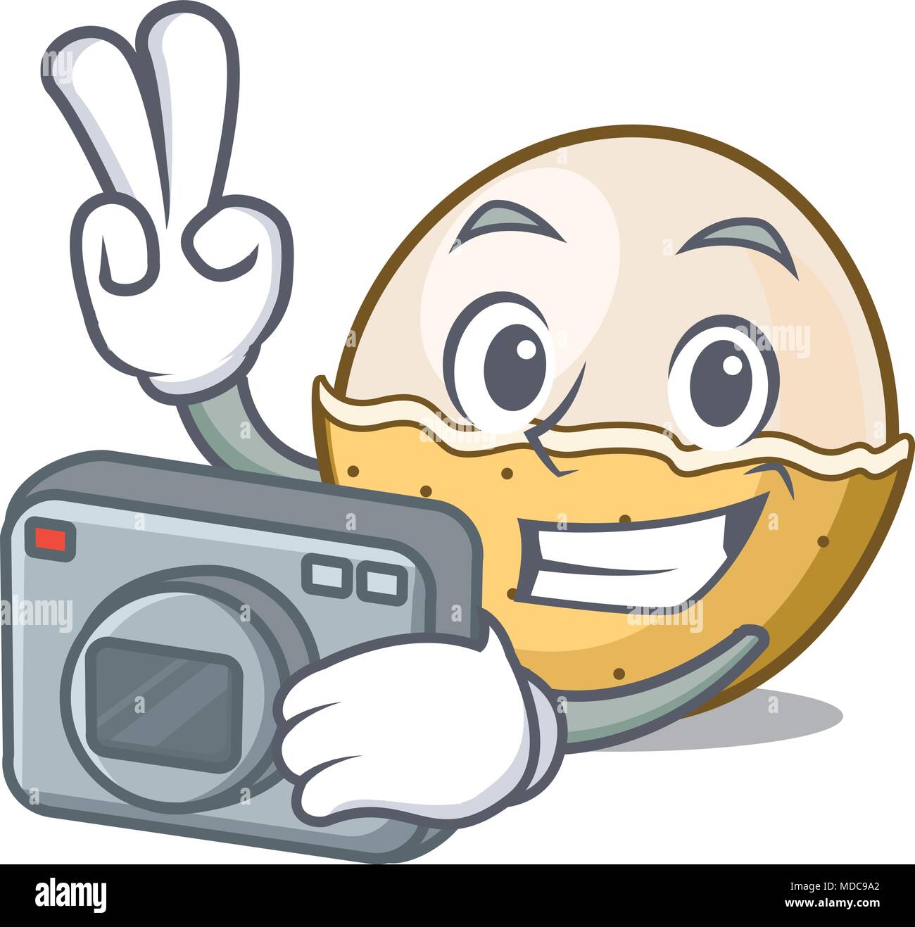 Photographer longan fruit mascot cartoon vector illustration Stock ...