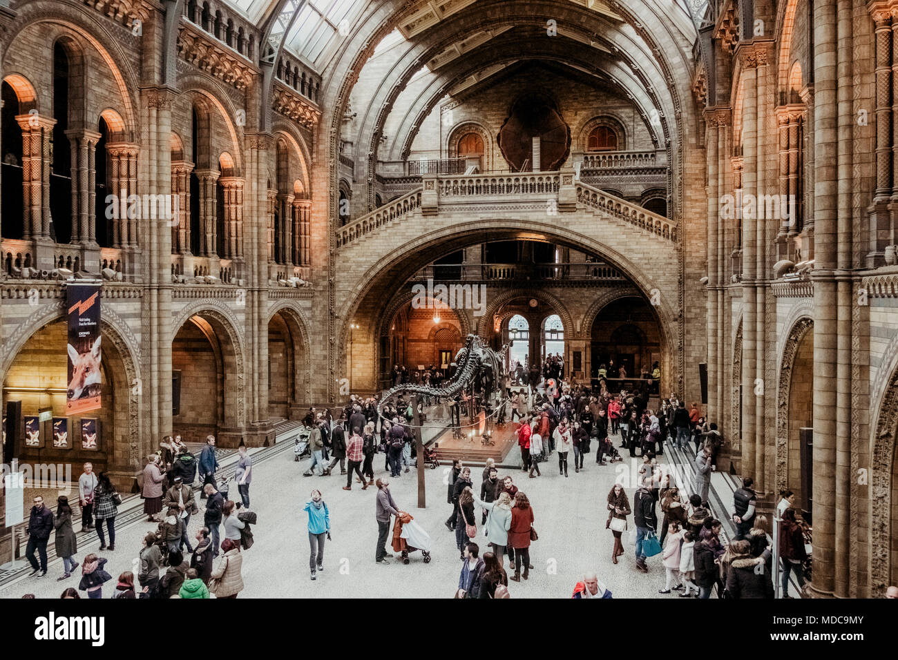 Main hall of Natural History Museum in London, England, UK Stock Photo ...