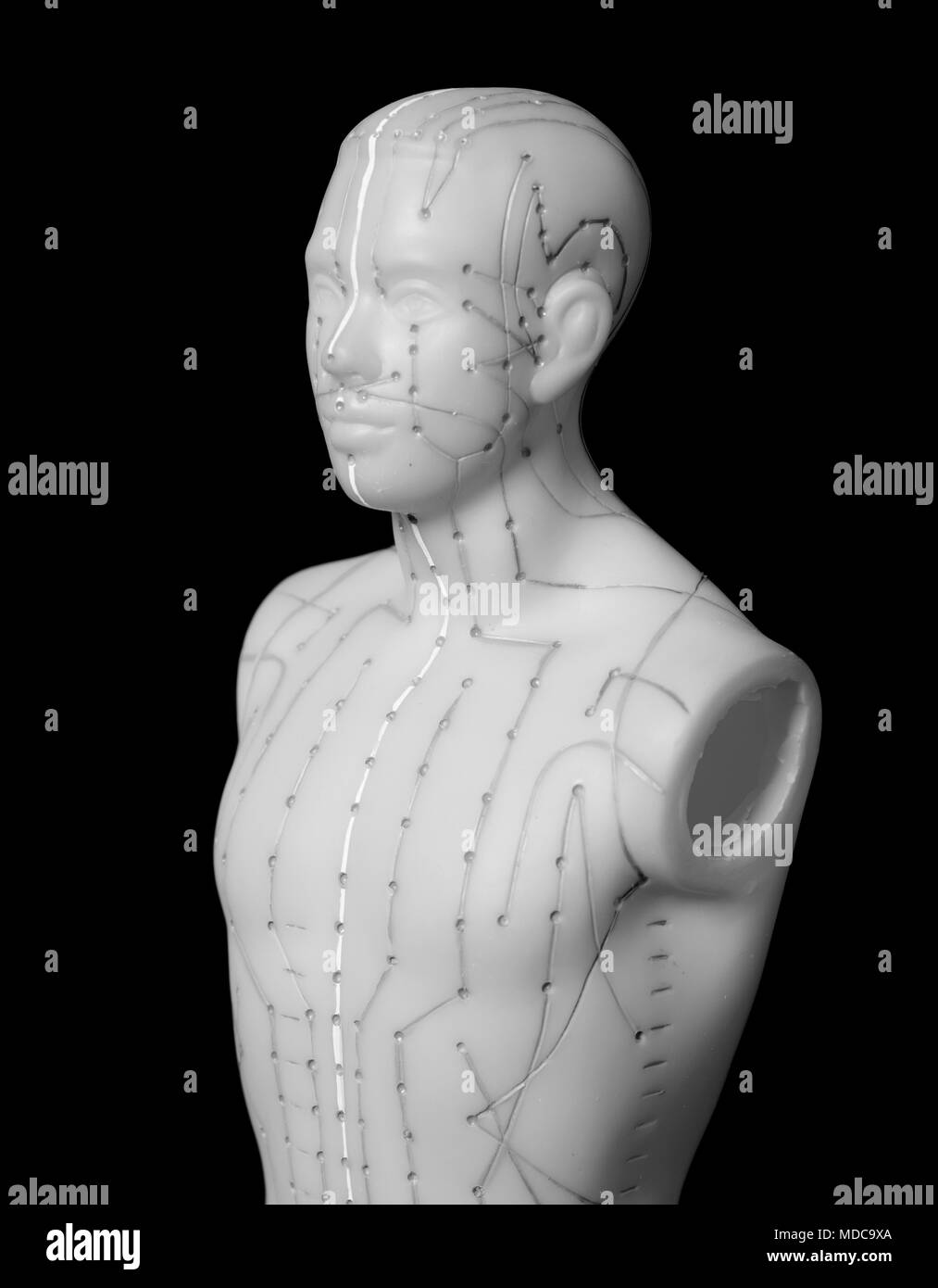 Medical acupuncture model of human on black background Stock Photo - Alamy