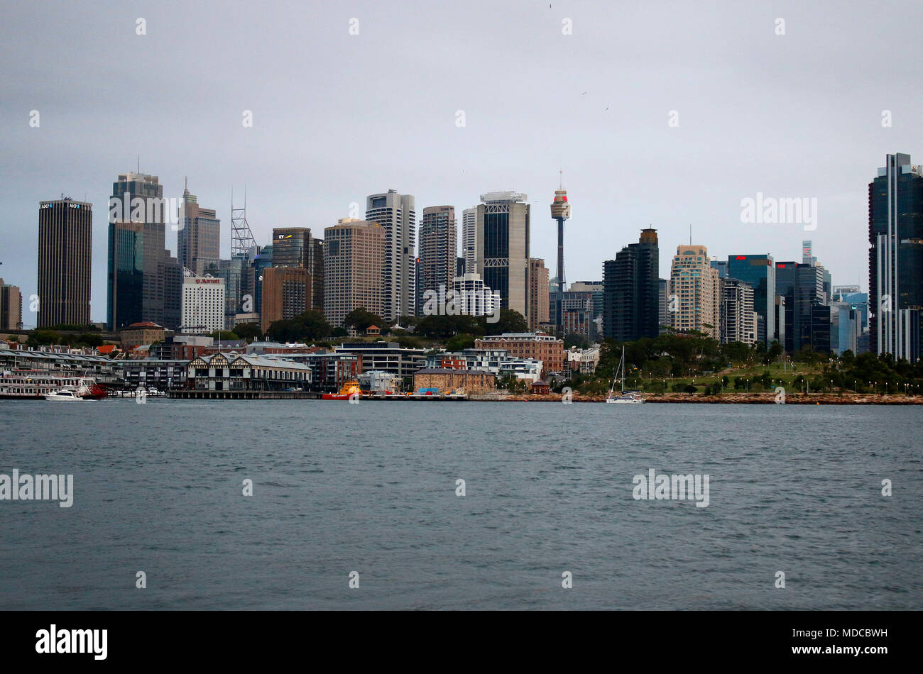 Skyline mit Sydney Tower, Sydney, Australia Stock Photo - Alamy