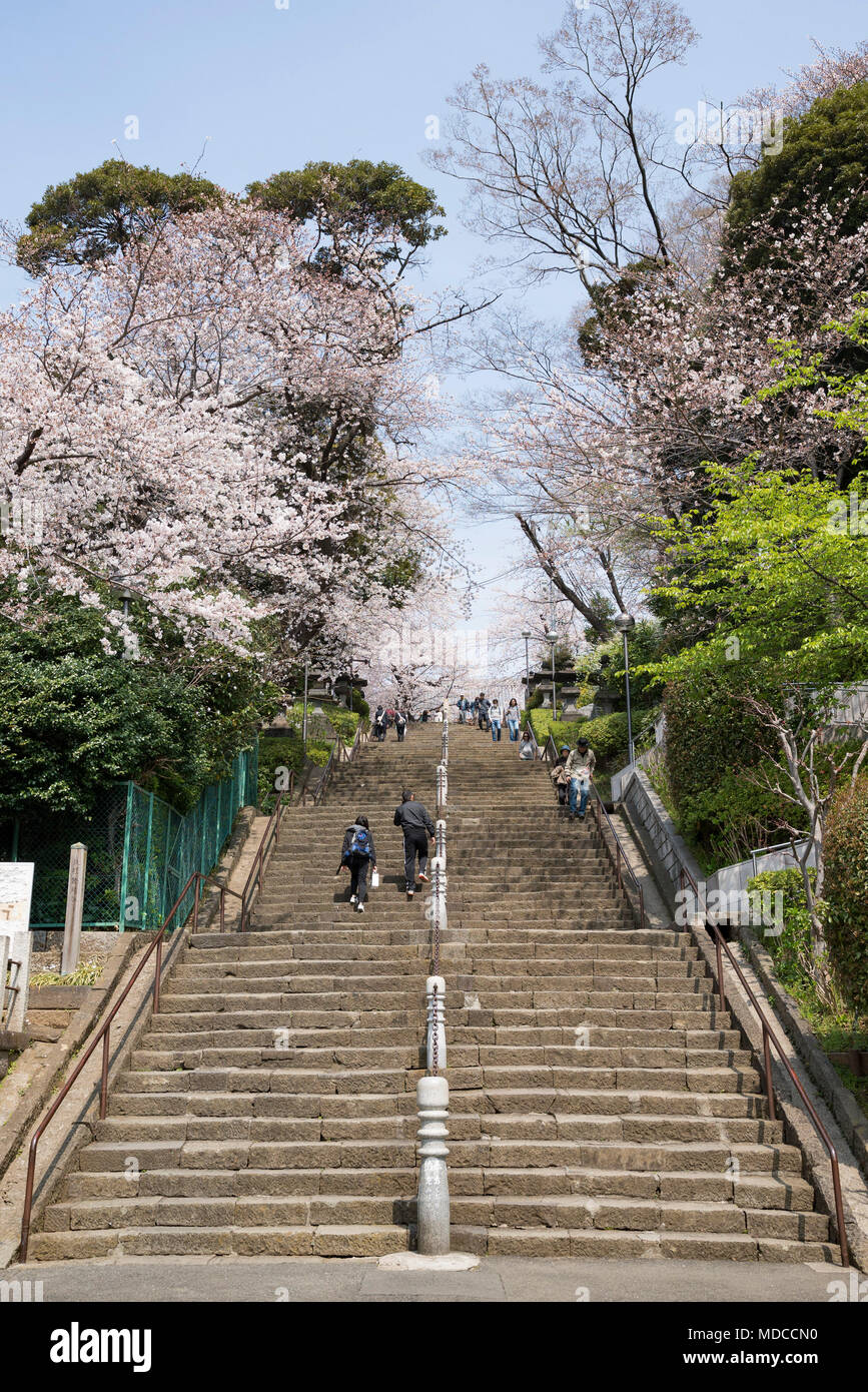 Entrance stairs, Ikegami Honmonji temple, Ota-Ku, Tokyo, Japan Stock ...