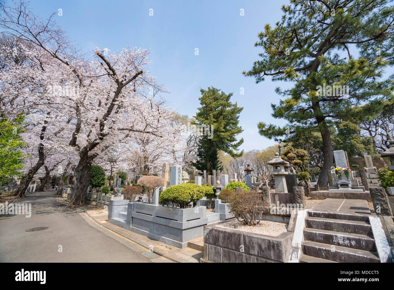 Traditional japanese cemetery in tokyo hi-res stock photography and ...